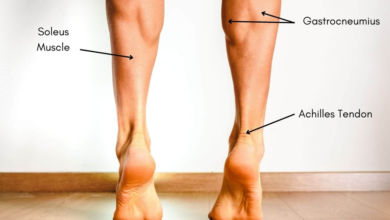 Calf Pain Running or Lower Calf Pain Explained by a Specialist